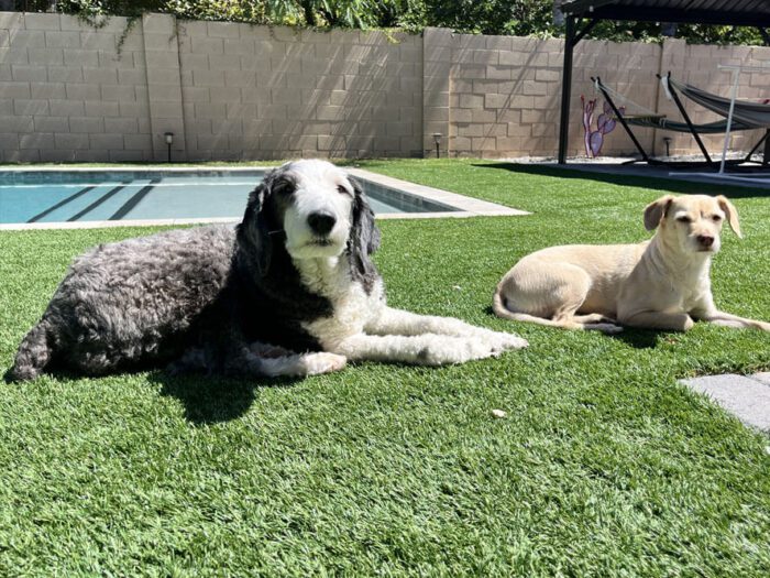 Contractors' Warehouse For Professional Landscapers | Verde Valley Turf